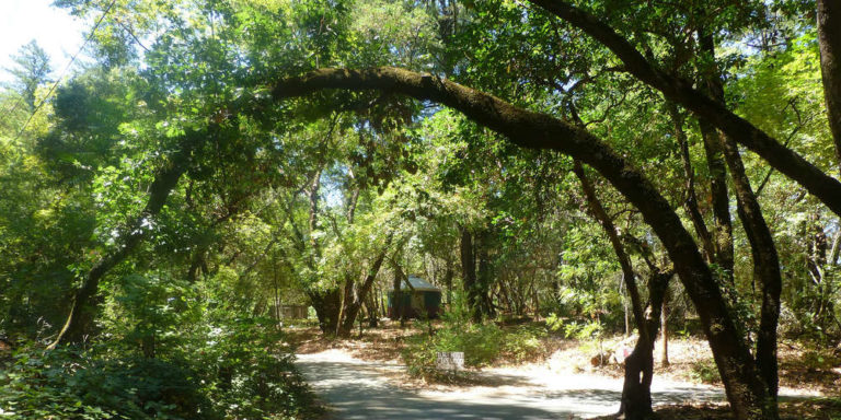 Where to stay in Napa Valley that's not a hotel | SunCity Paradise